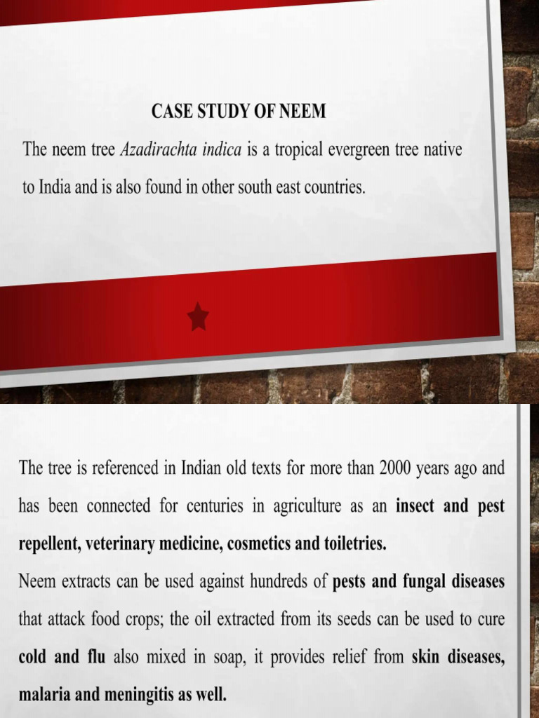 Case Study of Neem and Turmeric | PDF