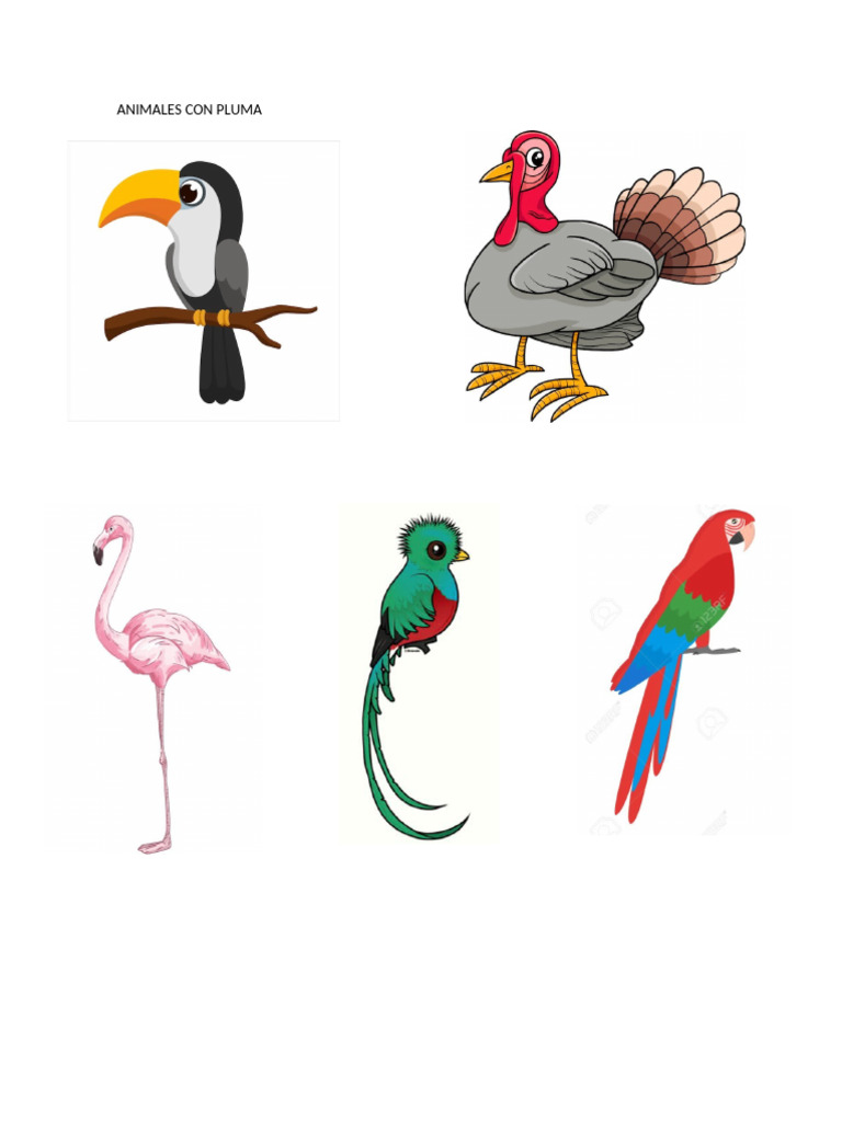 Animales Con Piel Lisa Plumas Pelos | PDF