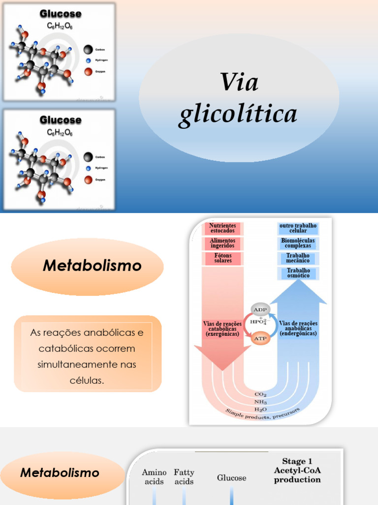 Aula 4 - Glicólise | PDF | Glicolise | Metabolismo
