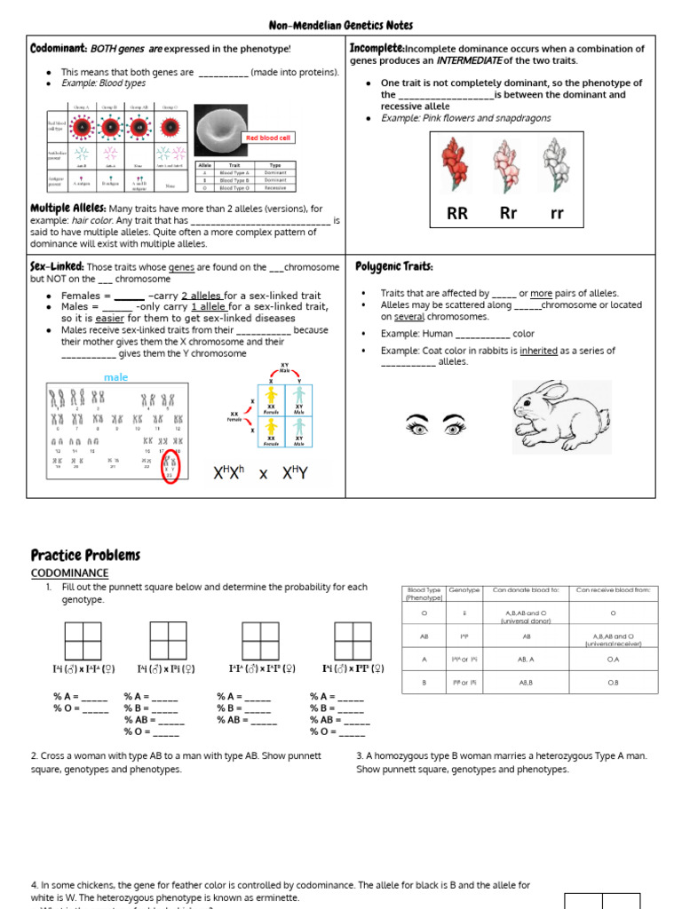 Non-Mendelian+Genetics+Notes | PDF | Dominance (Genetics) | Genotype