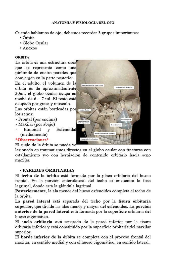 Resumo Oftalmo | PDF | Ojo humano | Córnea