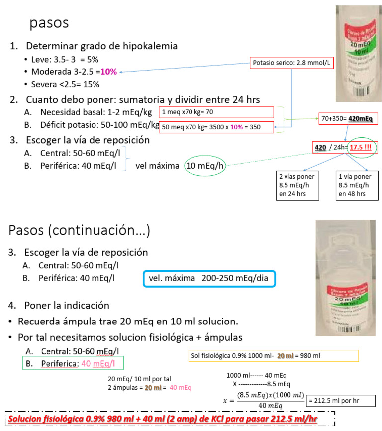 Reposición de Potasio en Hipokalemia | PDF