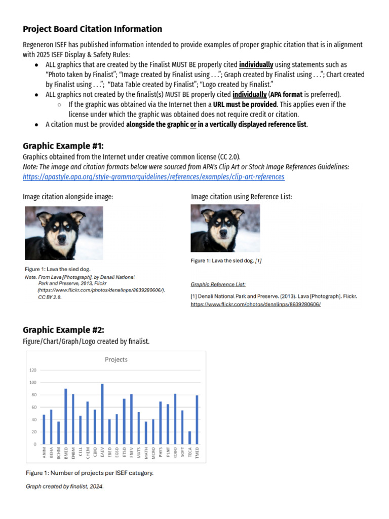 ISEF Graphic Citation Guidelines | PDF