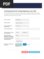 Constatacion Cae | PDF