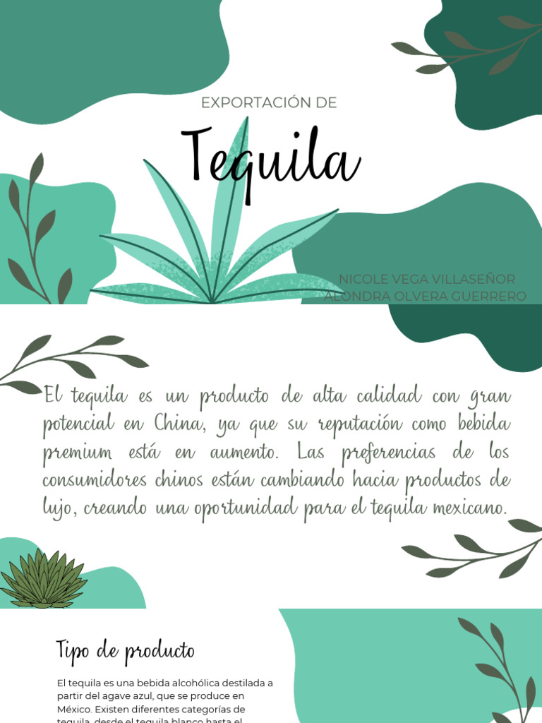 Tequila | PDF | Puerto