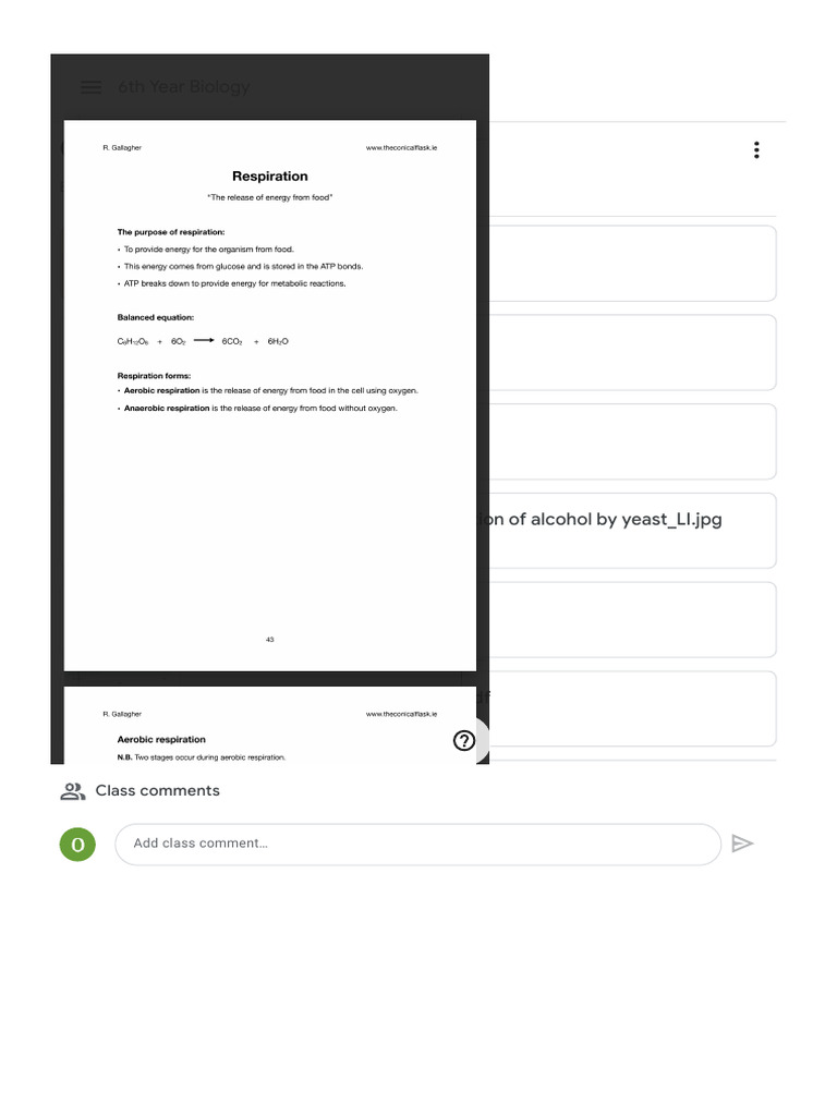 Chapter 12 - Respiration | PDF