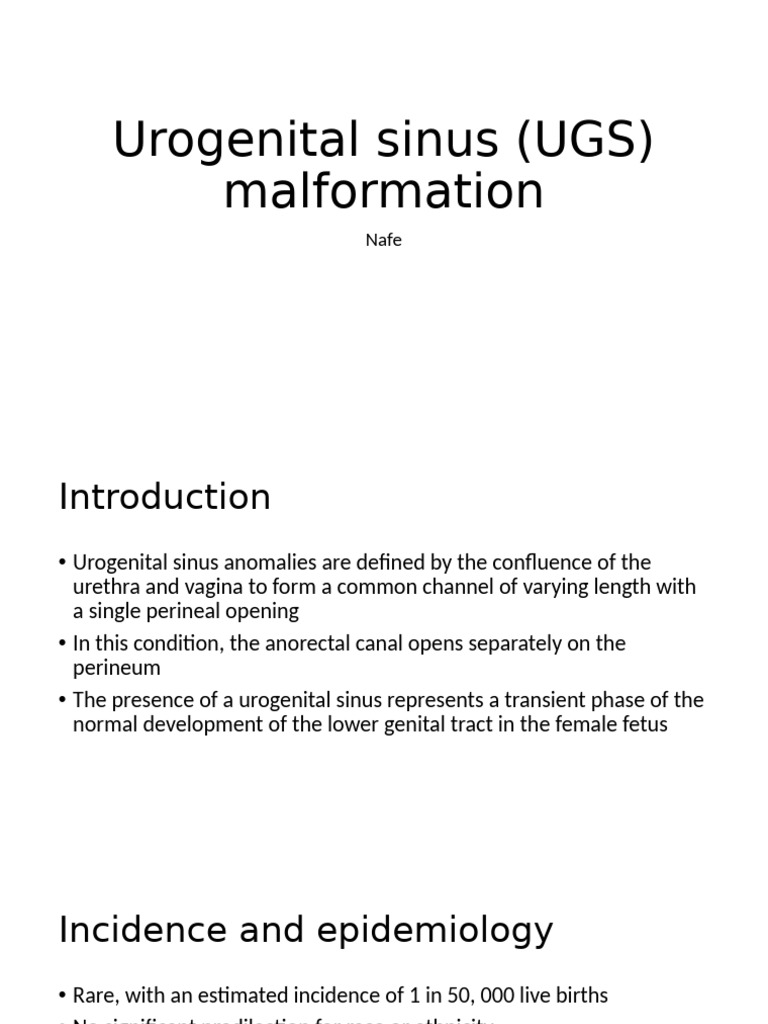 Urogenital Sinus | PDF | Medical Specialties | Genitourinary System