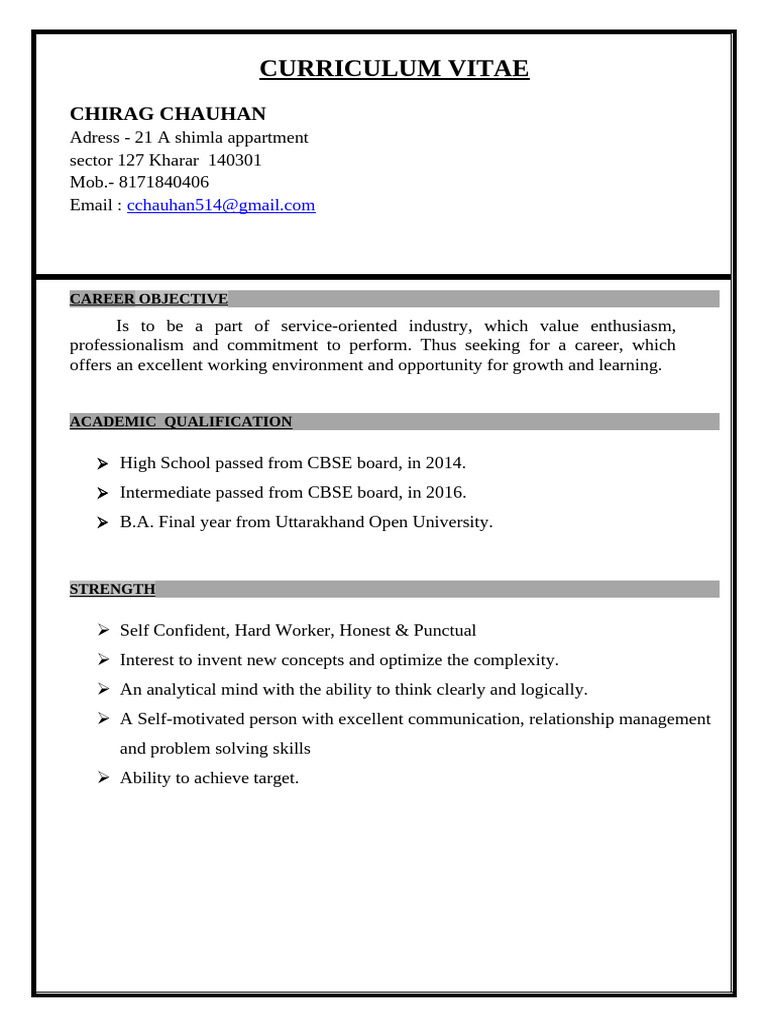 Chirag New Resume | PDF