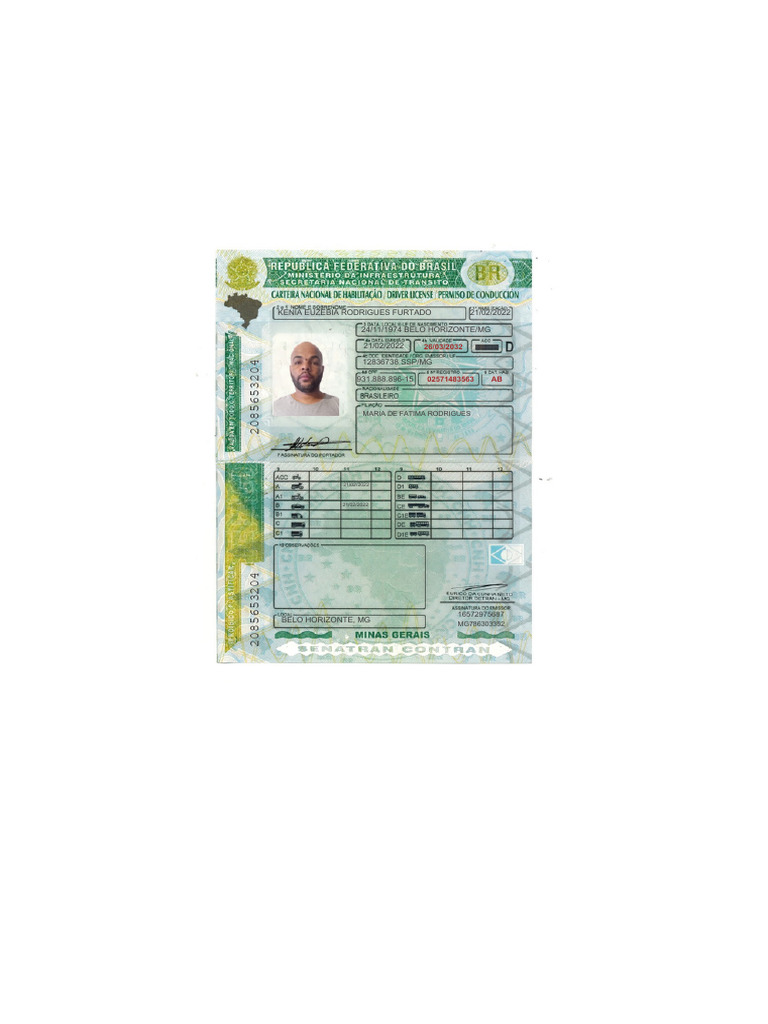 CNH 2022 - MINAS GERAIS-2.pdf - 20250212 - 150143 - 0000 | PDF