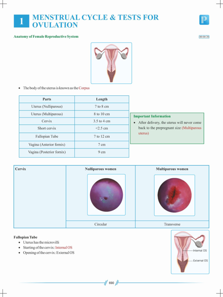 Obgyn | PDF