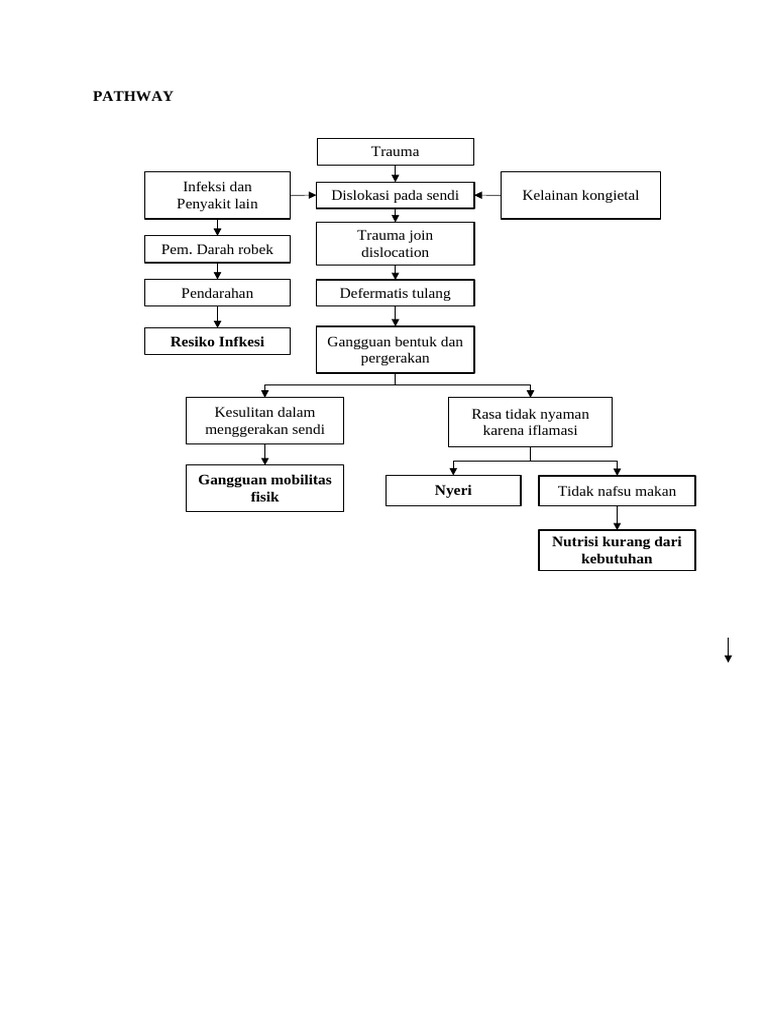 Lp Dislokasi Pathway | PDF