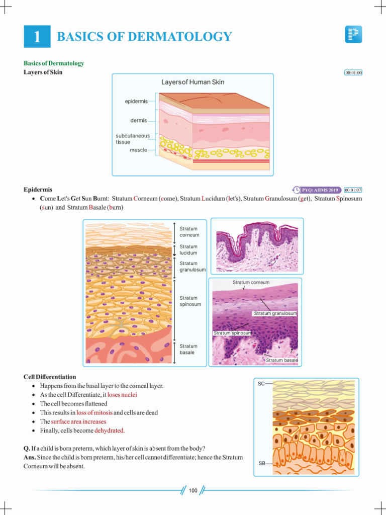 Dermatology | PDF