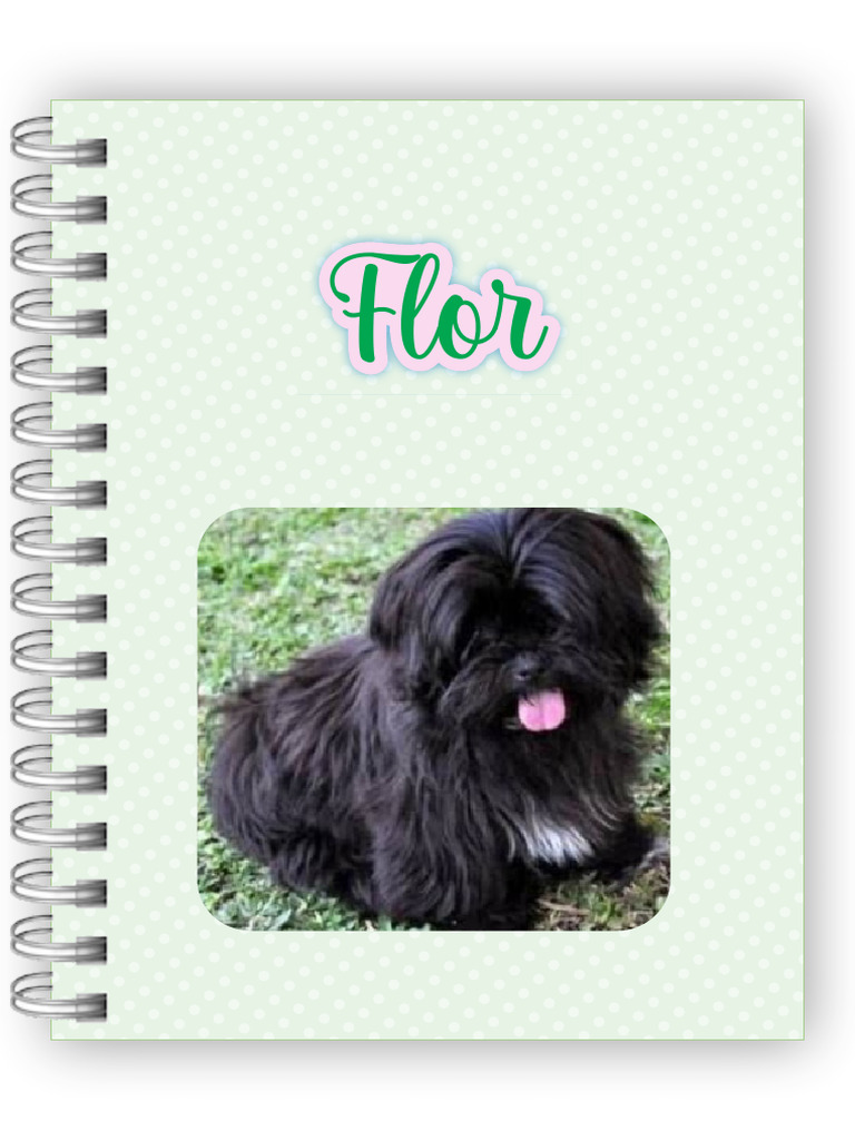 Flor Capas | PDF