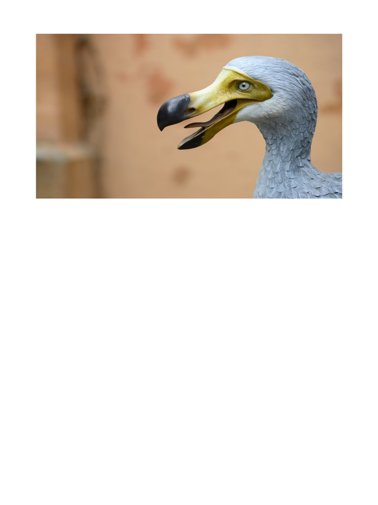 Dodododo | PDF