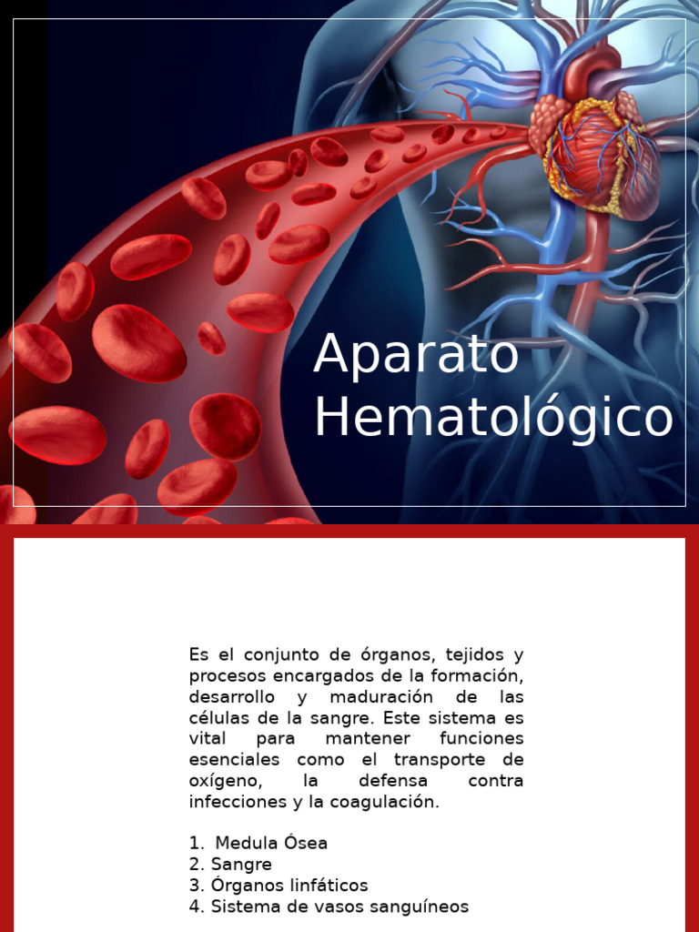 Hematologico Equipo7 | PDF