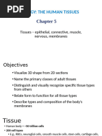 Chapter 4 Tissues Power Point | PDF | Tissue (Biology) | Epithelium