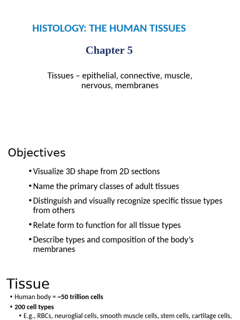BIOL 220 Lecture - Histology | PDF | Epithelium | Connective Tissue
