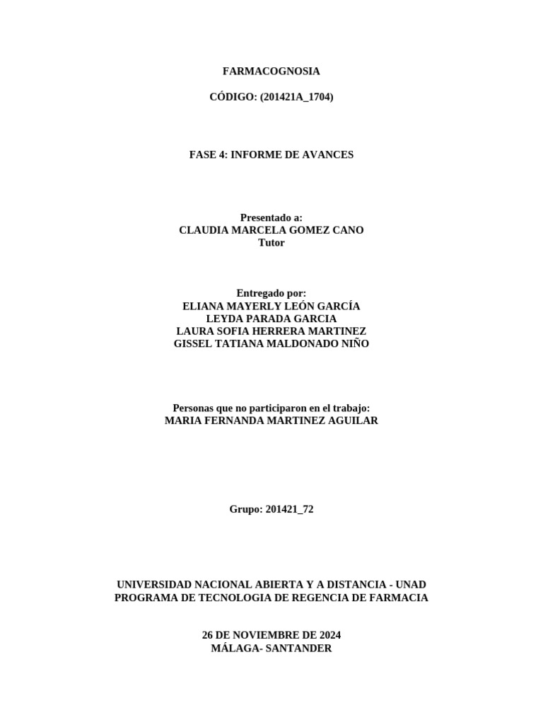 Fase 4 - Informe de Avances - Grupal | PDF