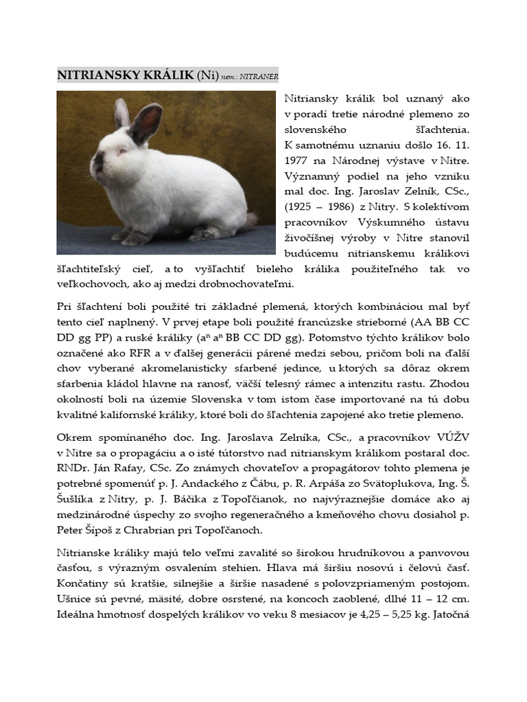 nitriansky_kralik_-_slov._plemeno | PDF