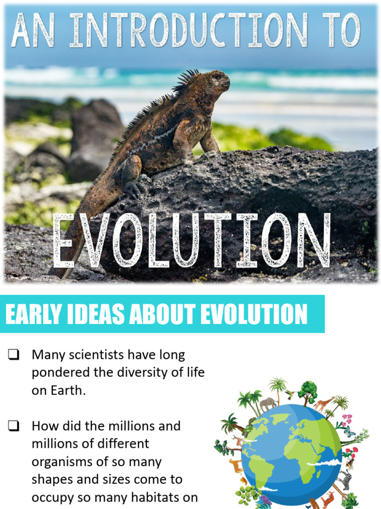 An Introduction To Evolution Lesson | PDF | Evolution | Life
