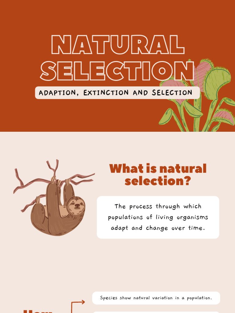 Natural Selection Quiz | PDF | Genotype | Natural Selection