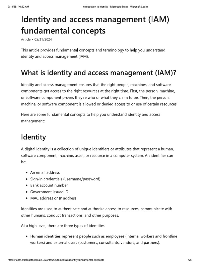 Identity and Access Management (IAM) Fundamental Concepts | PDF