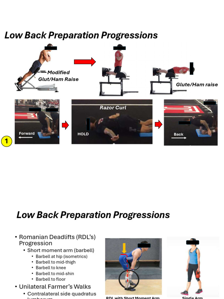 Low Back Preparation & Training | PDF