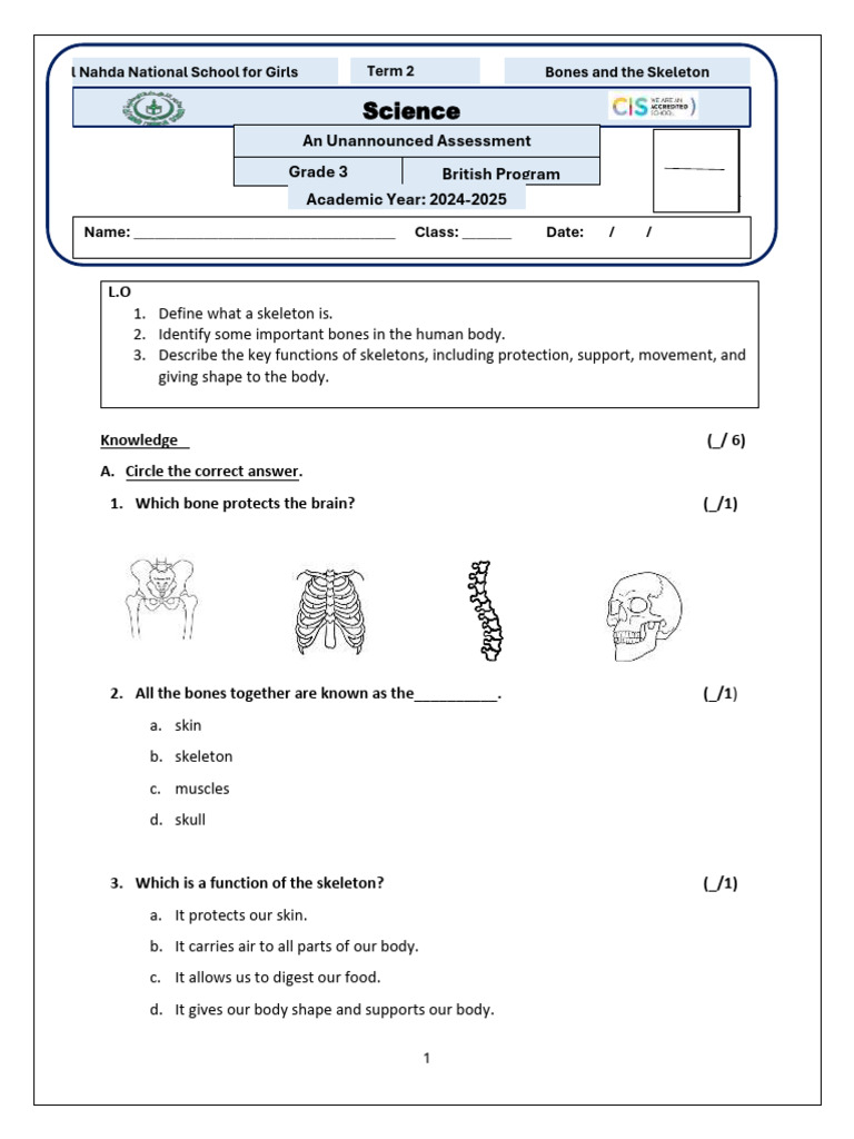Bones and Skeleton Unannounced Assessment | PDF | Skeleton | Bone