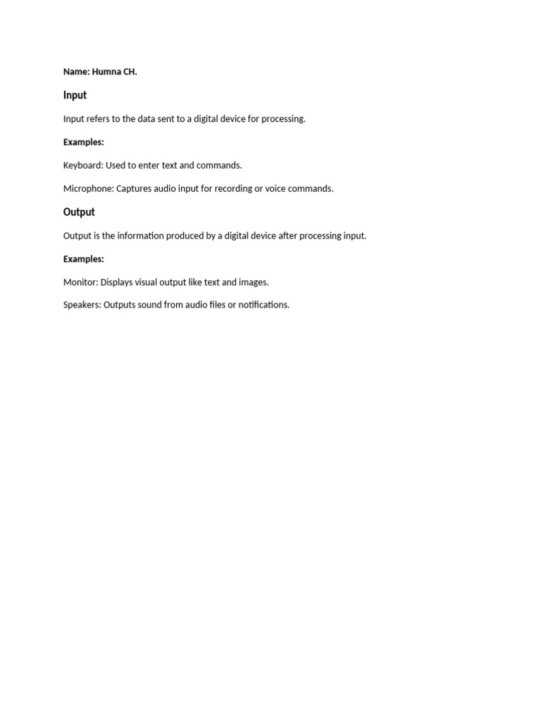 Input and Output-WPS Office | PDF