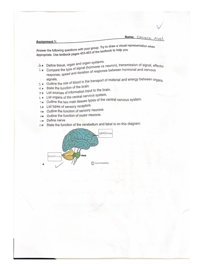 Assignment 1 | PDF