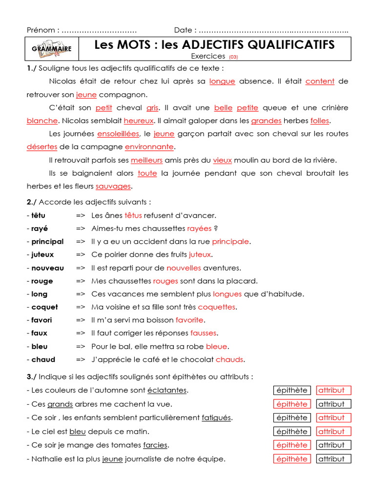 Exercices sur l'accord des adjectifs | PDF