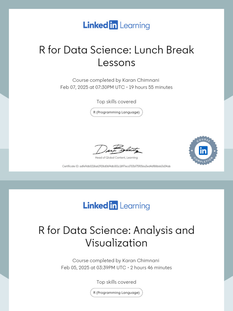 BCA2302240 R Programming LinkedIn PDF | PDF