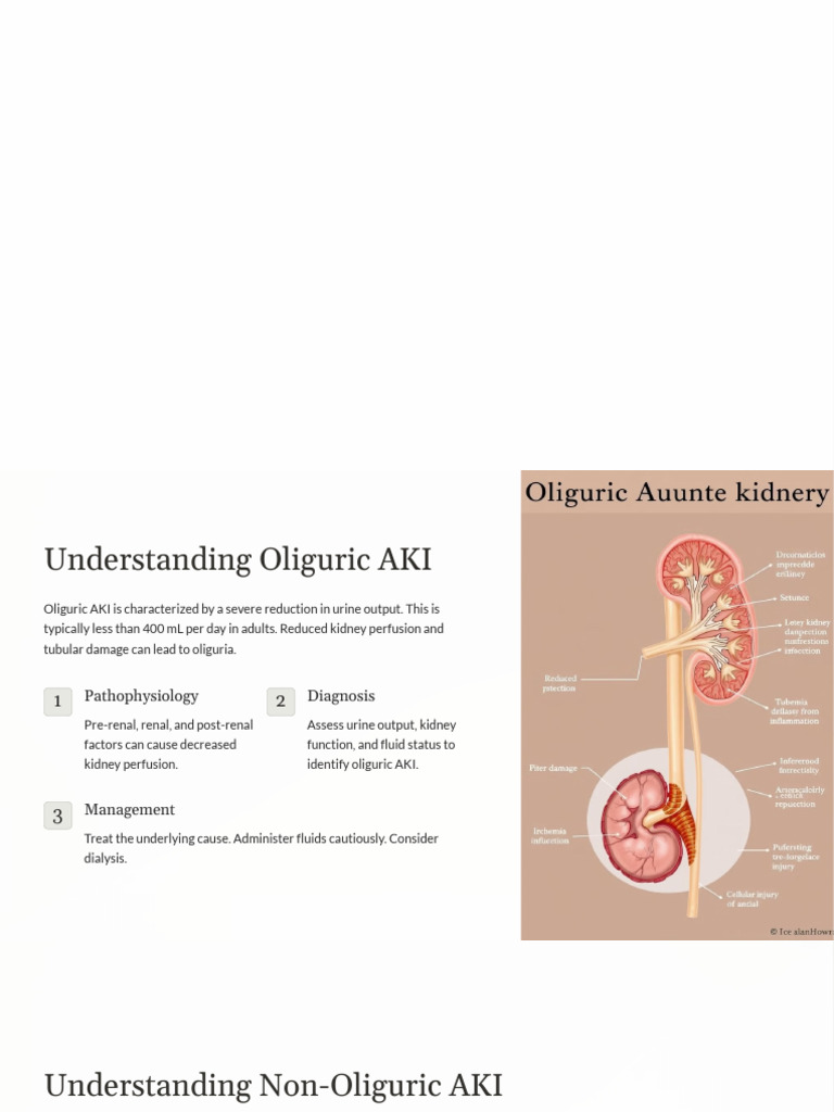 Oliguric vs Non Oliguric AKI Definitions and Management (1) | PDF