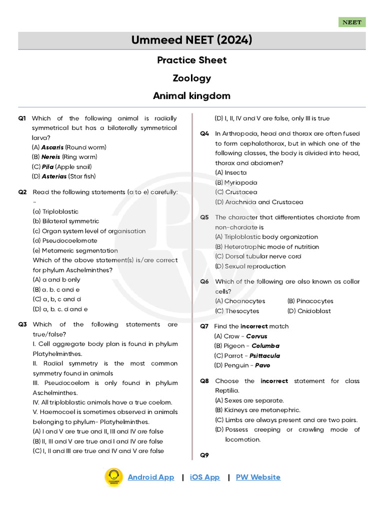 Animal Kingdom - Practice Sheet | PDF | Reptile | Zoology
