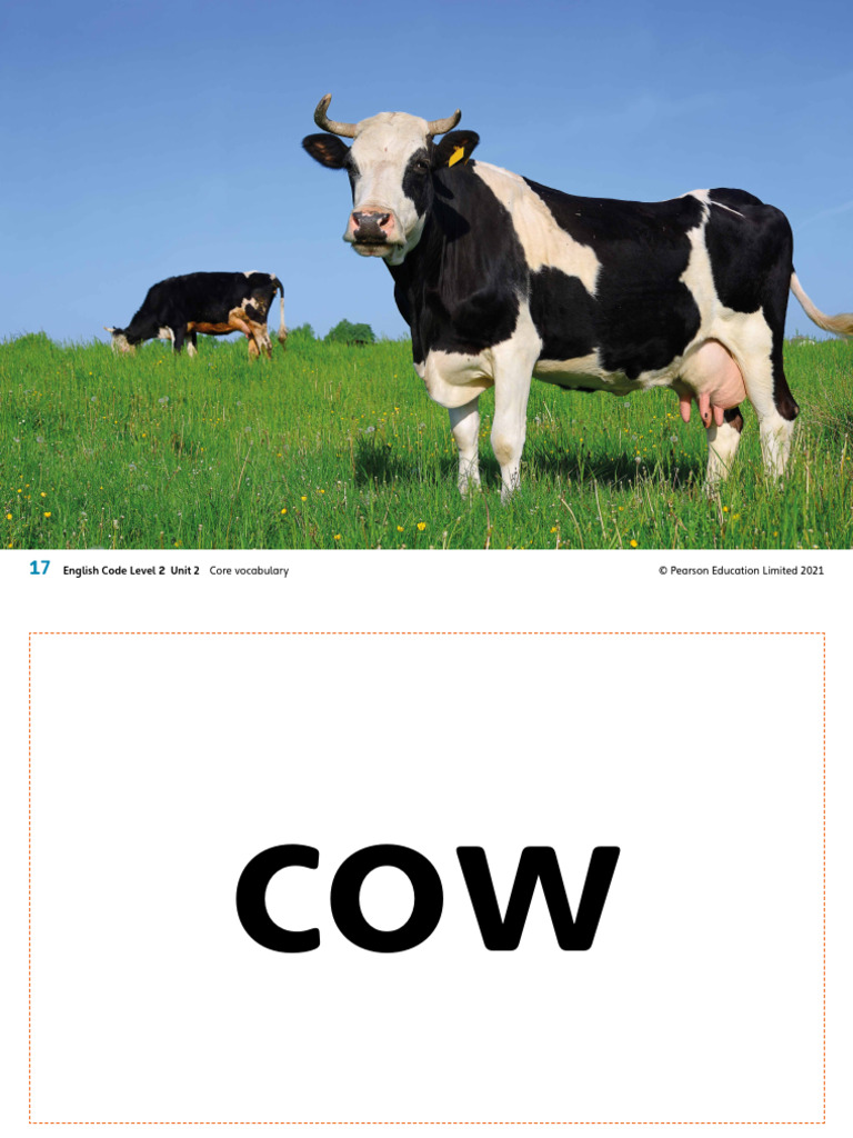 English Code BrE L2 Picture Cards Vocabulary U2 | PDF