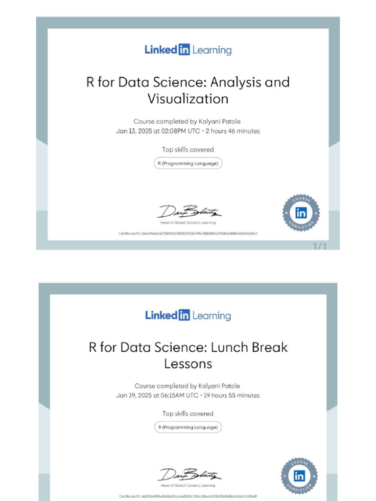 BCA2302354 LinkedIn R Programming | PDF