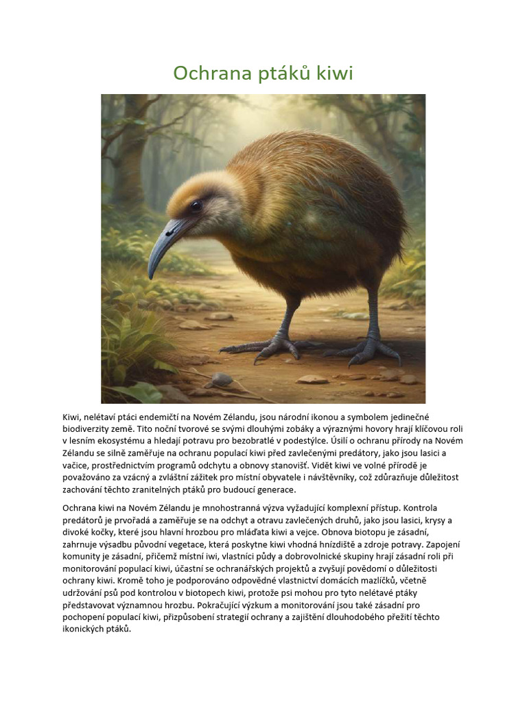 Ochrana Ptáků Kiwi | PDF