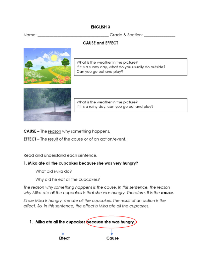 Grade 3 Cause and Effect Worksheet | PDF