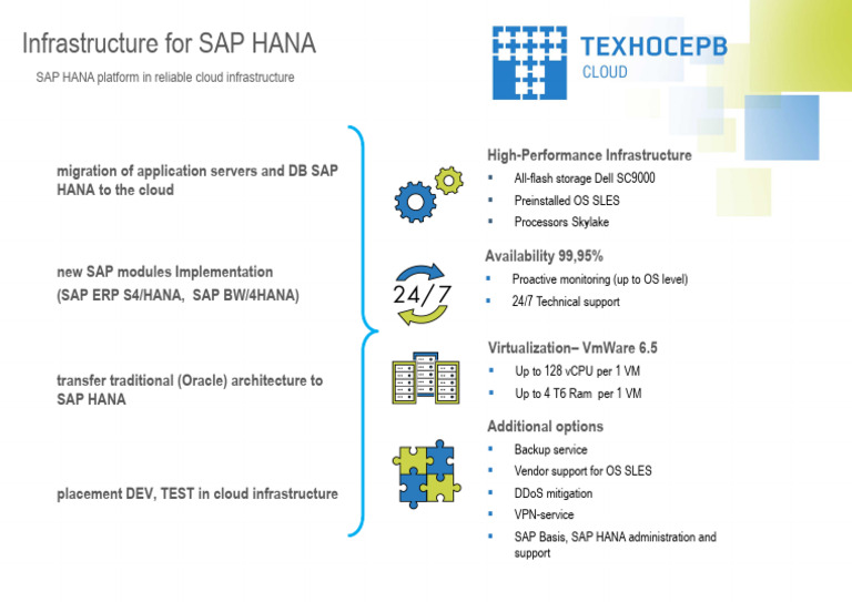 Technoserv SAP HANA - Overview | PDF