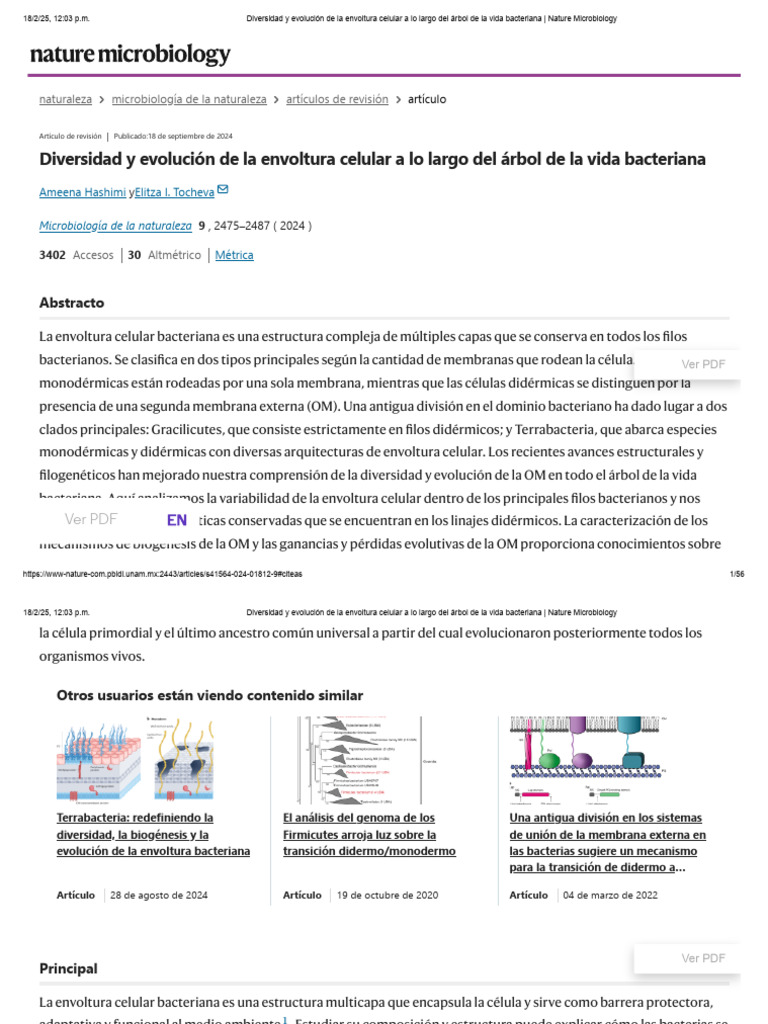 Evolución de la envoltura celular bacteriana | PDF | Las bacterias ...