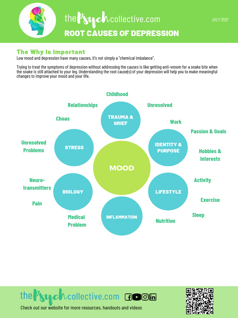 Understanding Depression's Root Causes | PDF