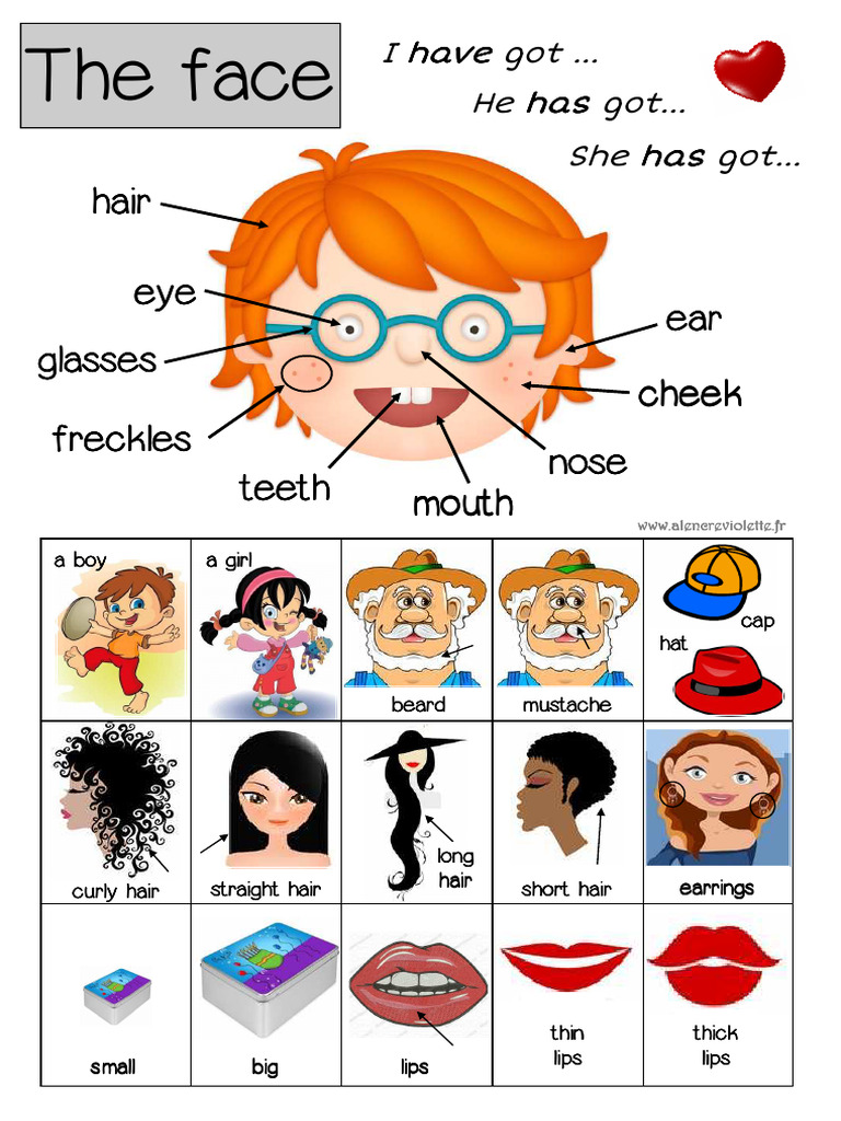 The Face Voc | PDF