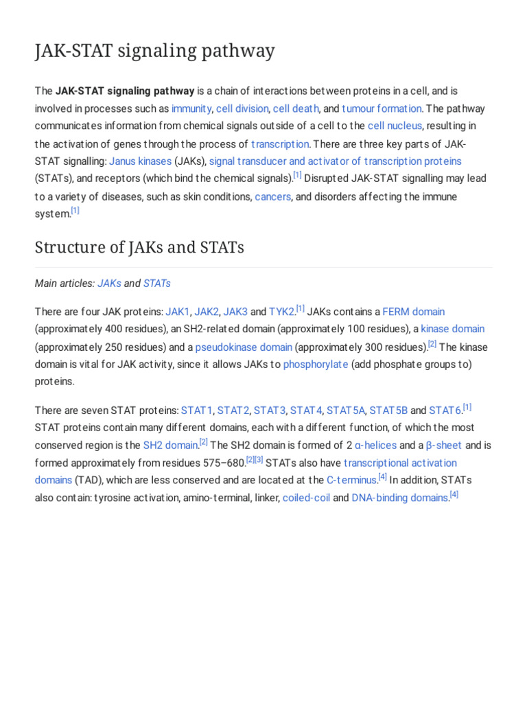 JAK-STAT Signaling Pathway Overview | PDF | Biological Processes ...