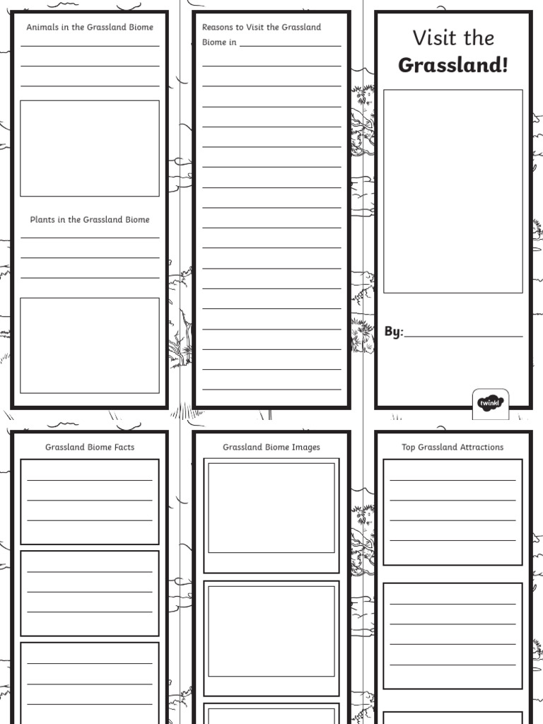 Black and White Grassland Biome Travel Brochure | PDF