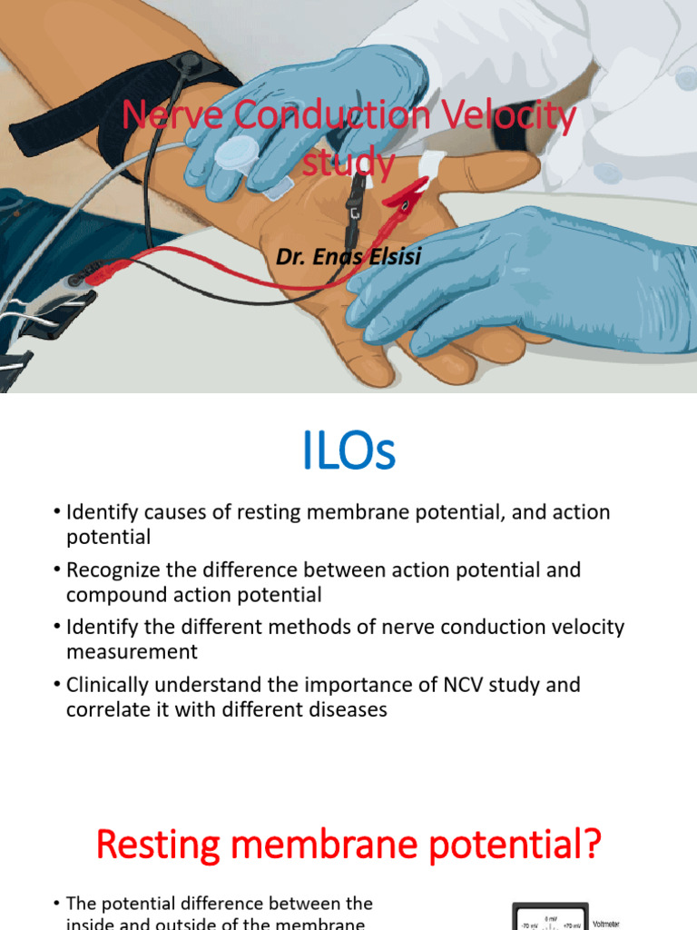 Secton 2-Nerve Conduction Velocity | PDF | Action Potential | Carpal ...