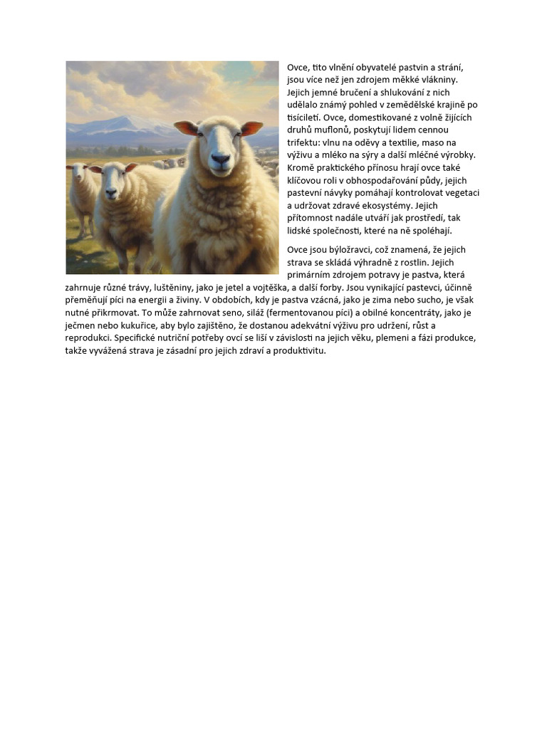 Ovce | PDF