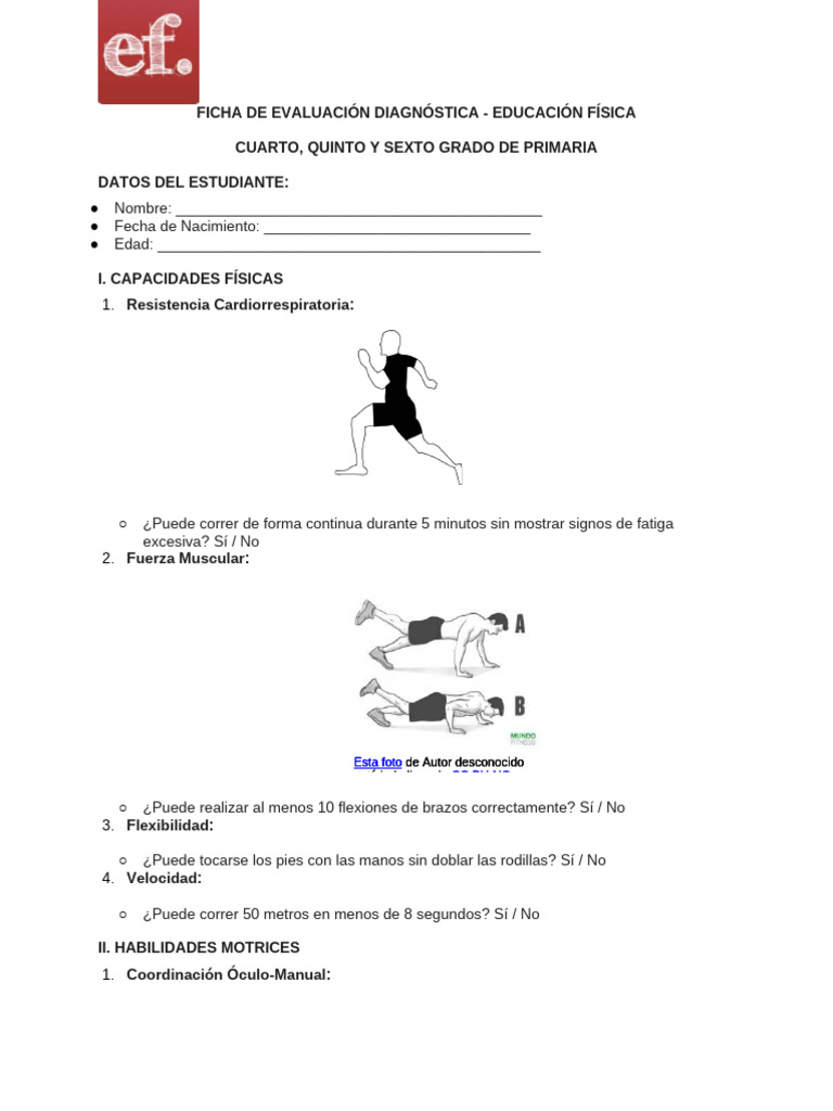 Ficha de Evaluacion Diagnostica 4,5,6 Primaria | PDF