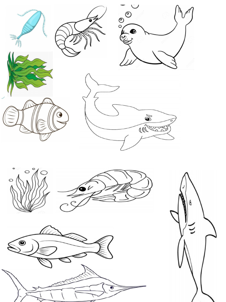 Ingles Proyect | PDF