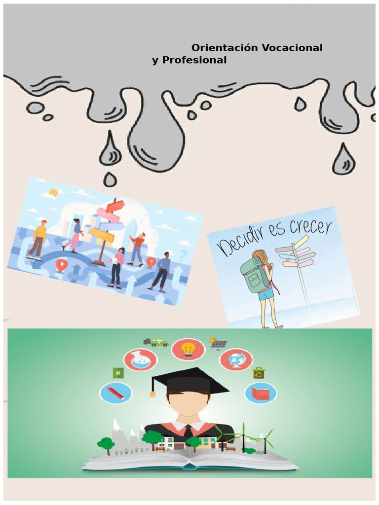Orientación Vocacional y Profesional | PDF