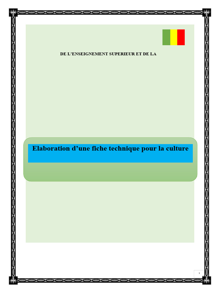 Aguibou K-1 | PDF | Échalote